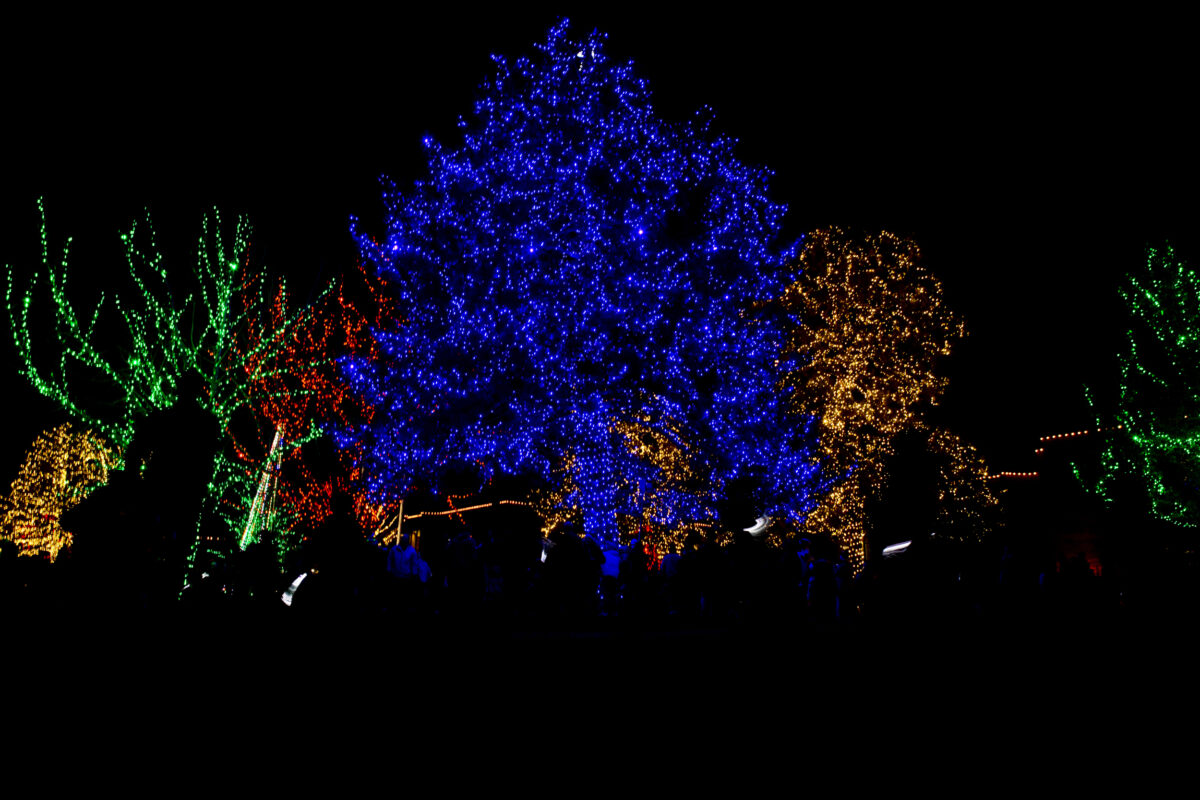 Freedom Tree shining bright again at Orem City Center | News, Sports ...
